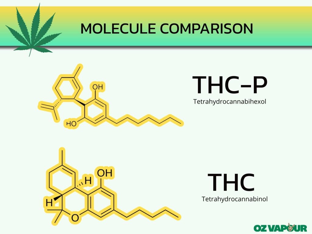 What Is THCP Benefits Risks Potency And Uses OZ Vapour What Is THCP Benefits Risks Potency And Uses OZ Vapour